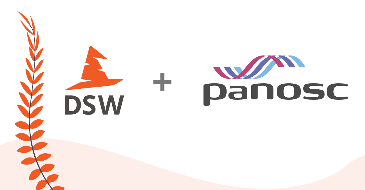 Enabling Seamless Data Management Planning within PaNOSC with DSW | Data Stewardship Wizard