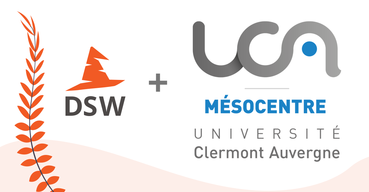 Story of the DSW Teaching at the Clermont Auvergne University | Data ...